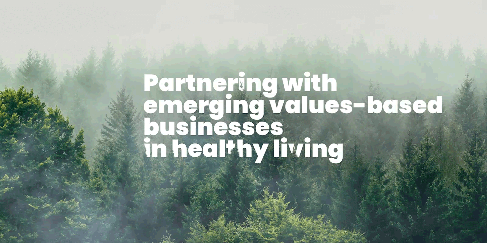 Partnership Capital Growth Investors